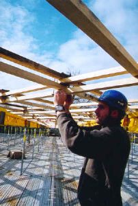 Downland Gridshell - Weald & Downland Living Museum