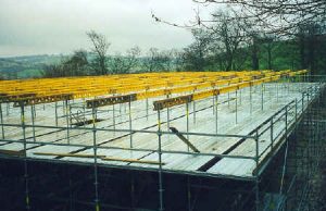 Downland Gridshell - Weald & Downland Living Museum