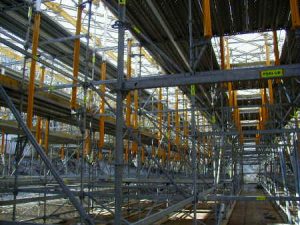 Downland Gridshell - Weald & Downland Living Museum