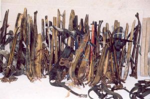 Downland Gridshell - Weald & Downland Living Museum