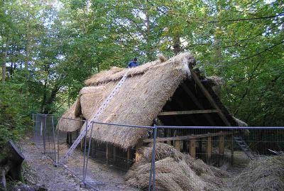 Anglo-Saxon Hall House - Weald & Downland Living Museum
