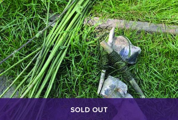 Courses at the Weald & Downland Living Museum