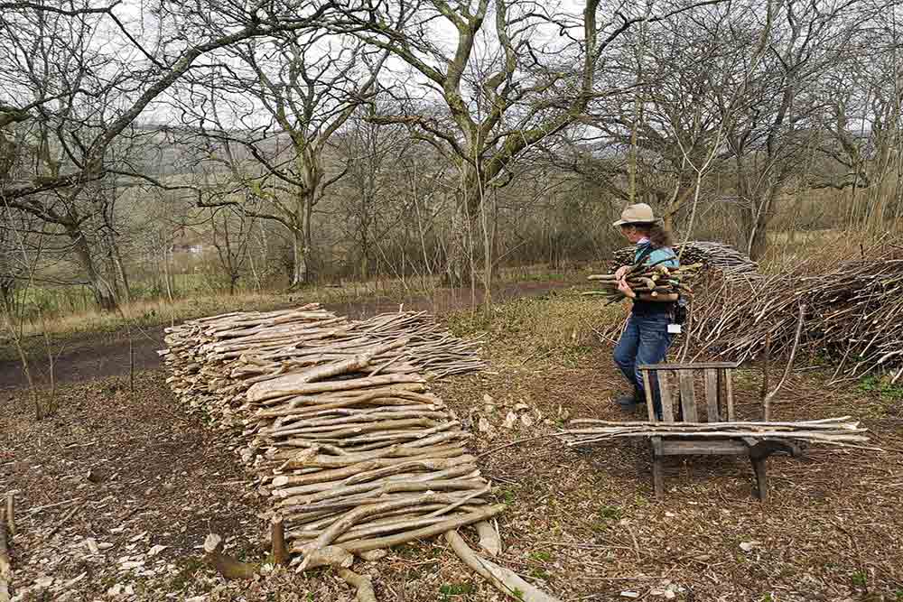 Traditional Woodland Management at the Weald & Downland Living Museum ...