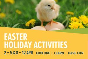 Things to do West Sussex - The Weald & Downland Living Museum