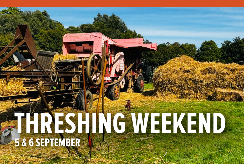 Threshing Demonstration Weekend | Weald & Downland Museum