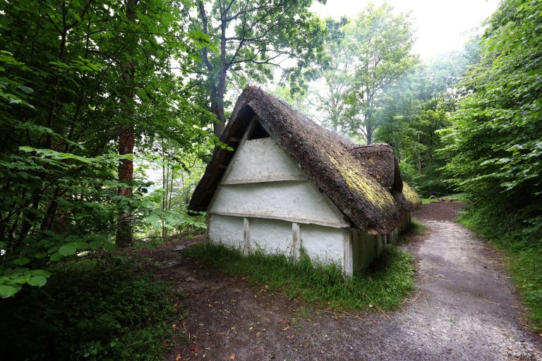 There's No Place Like Home: Homes through History